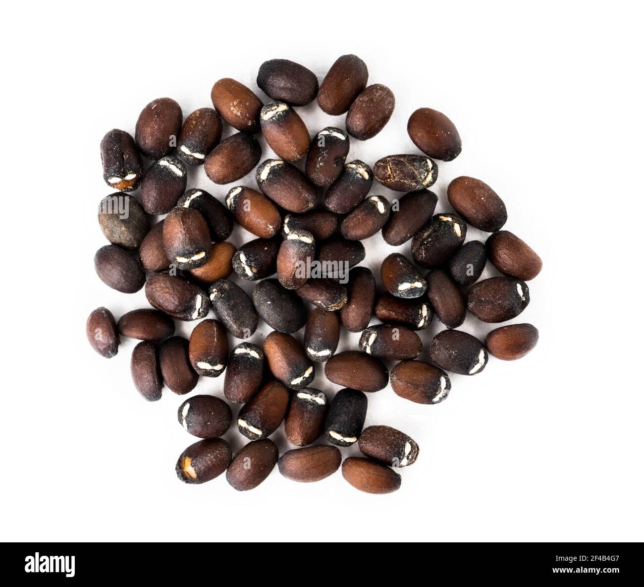 View from top multiple Cut Out Stock Images & Pictures - Alamy