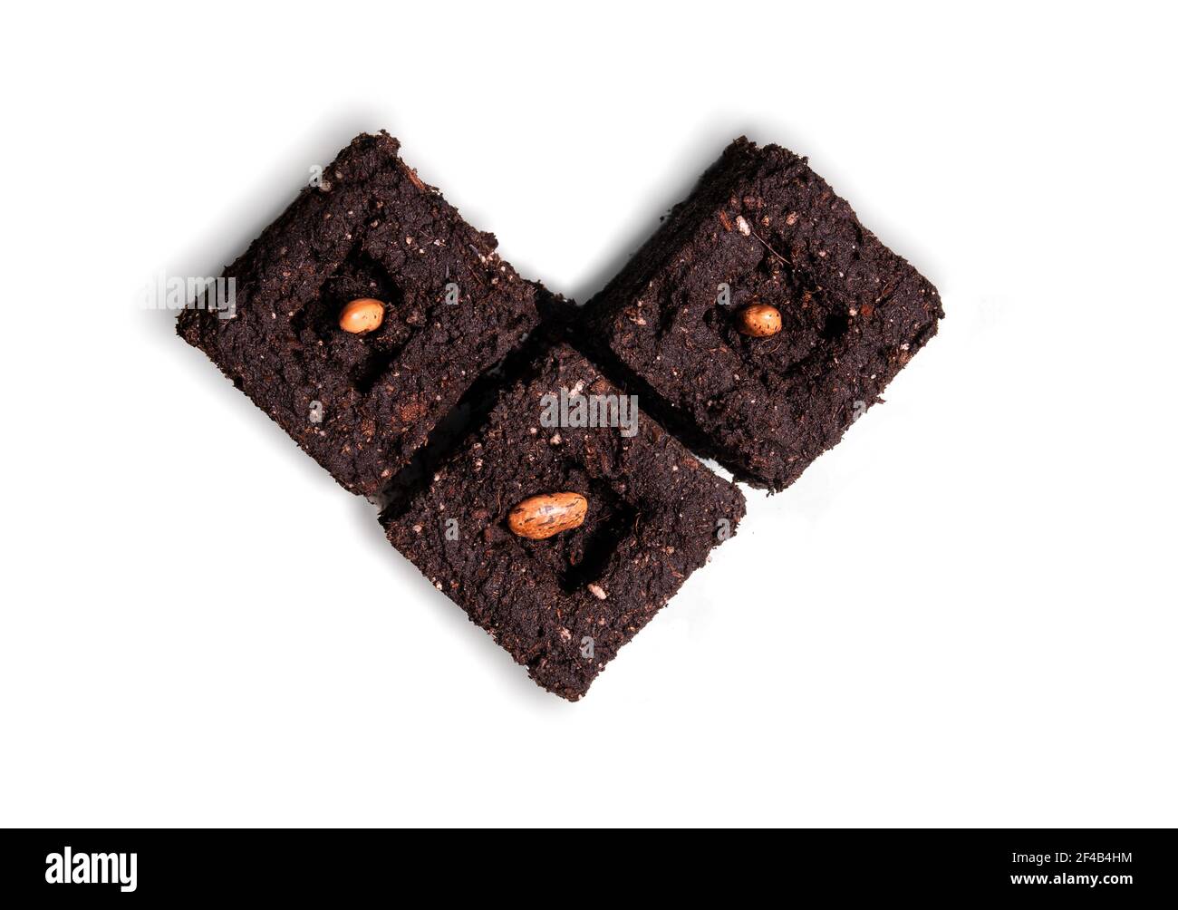 Soil before planting Cut Out Stock Images & Pictures - Alamy