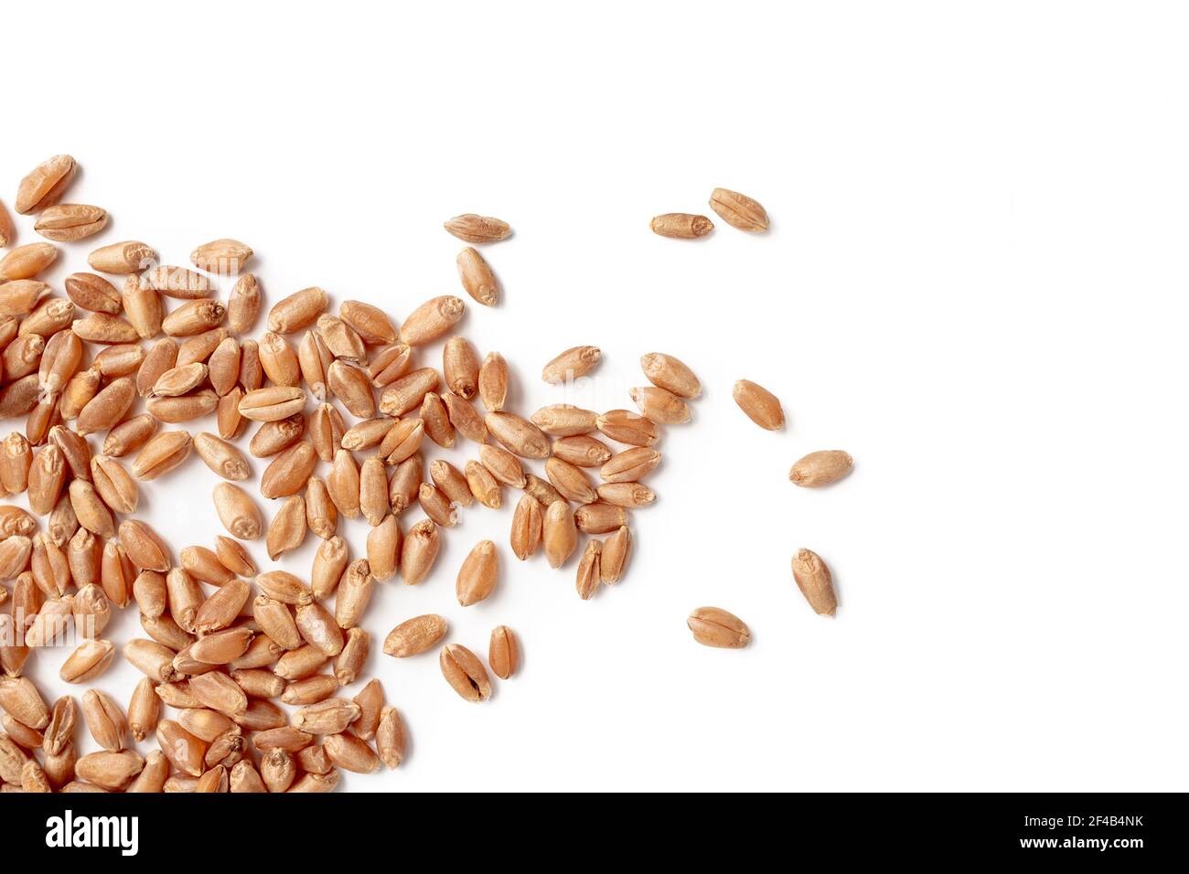 Hard red spring wheat hi-res stock photography and images - Alamy