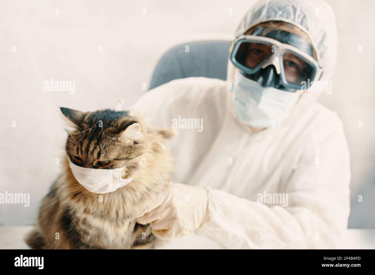 Man in bio-hazard suit and Kitten wear face shield. Cat in protection ...