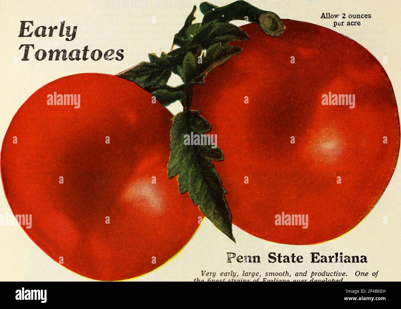 Penn State Earliana Very early, large, smooth, and productive. One of ...