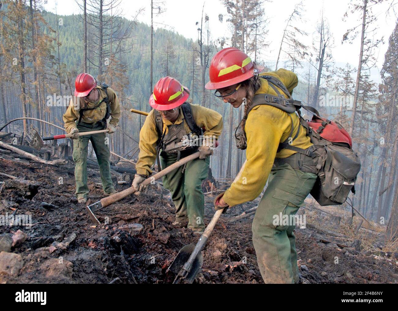 Female firefighter forest hi-res stock photography and images - Alamy
