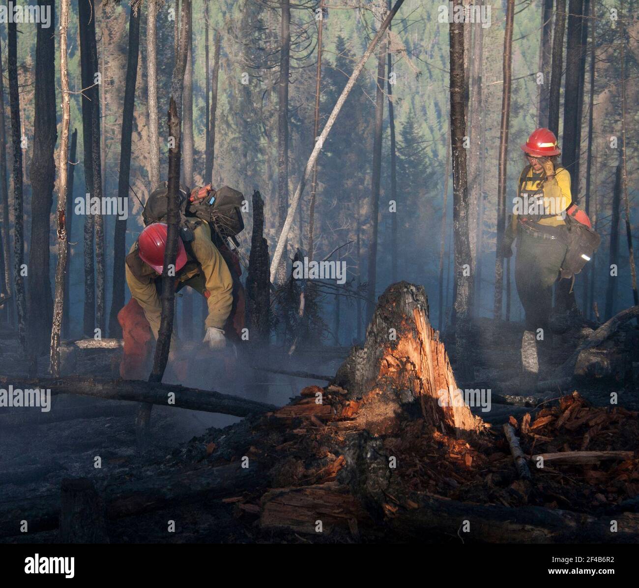 Wildfire mop up crew hi-res stock photography and images - Alamy