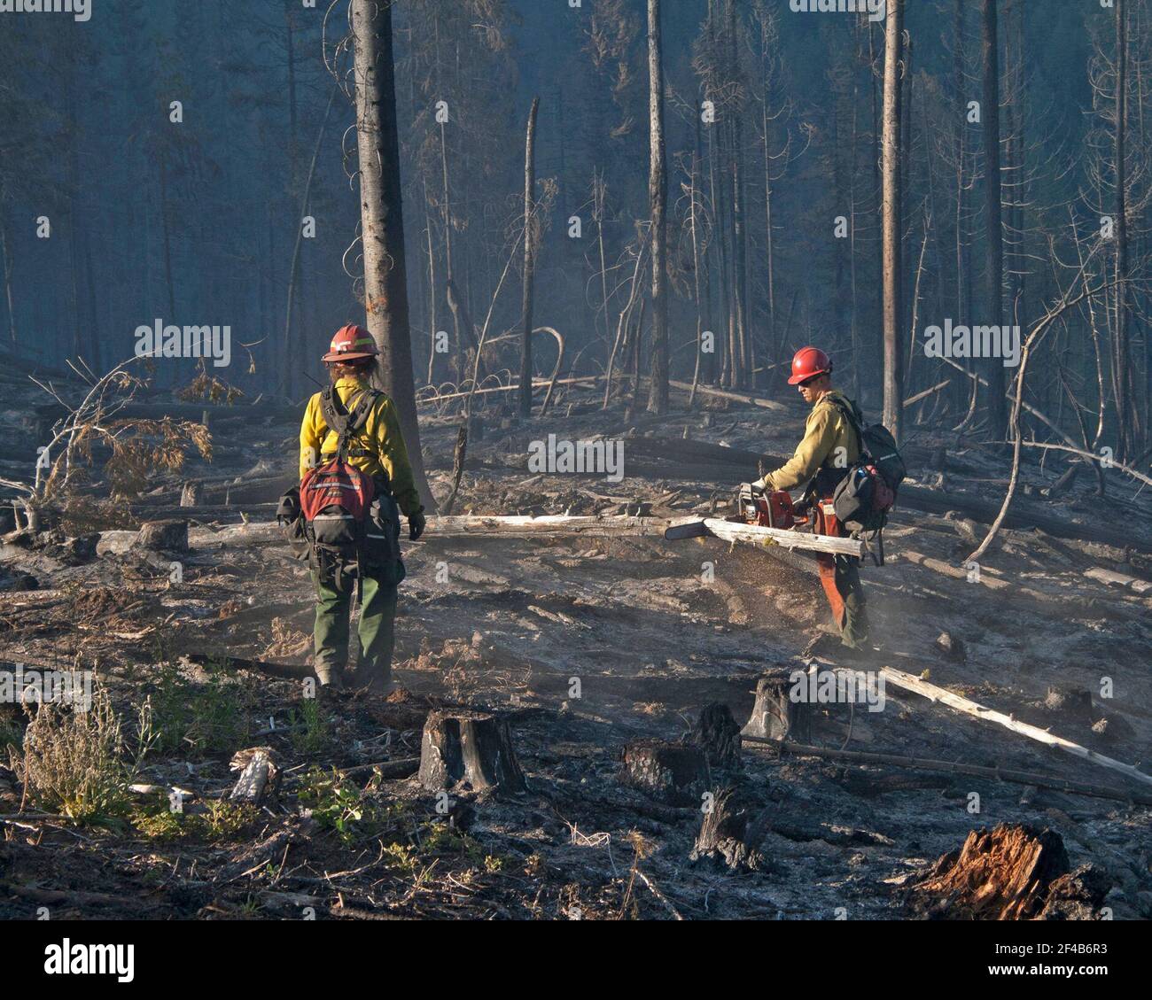 Wildfire mop up crew hi-res stock photography and images - Alamy
