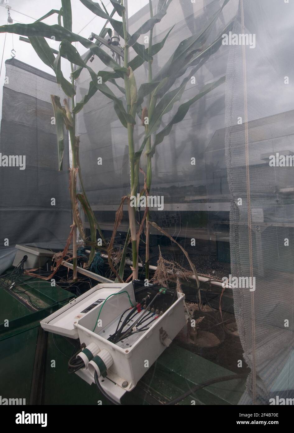 Soil plant research unit hi-res stock photography and images - Alamy