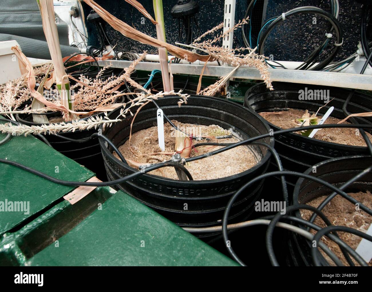 U.S. Department of Agriculture (USDA), Agriculture Research Service's ...