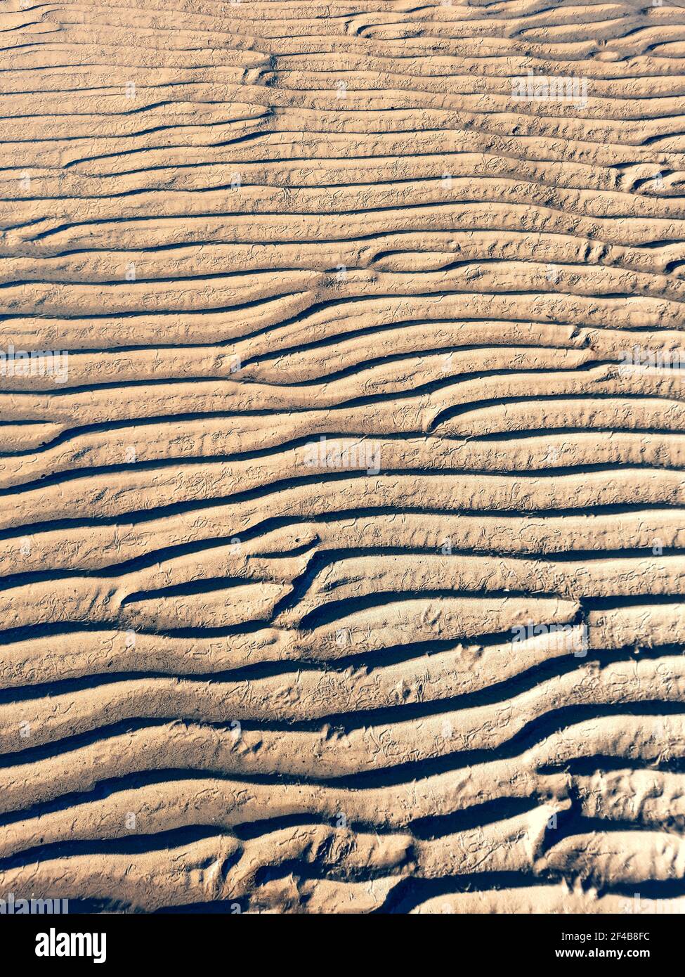 Ribbed sand hi-res stock photography and images - Alamy