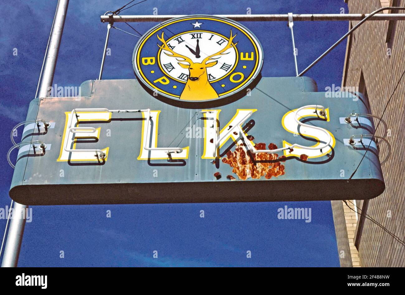 Elks vintage hi-res stock photography and images - Alamy