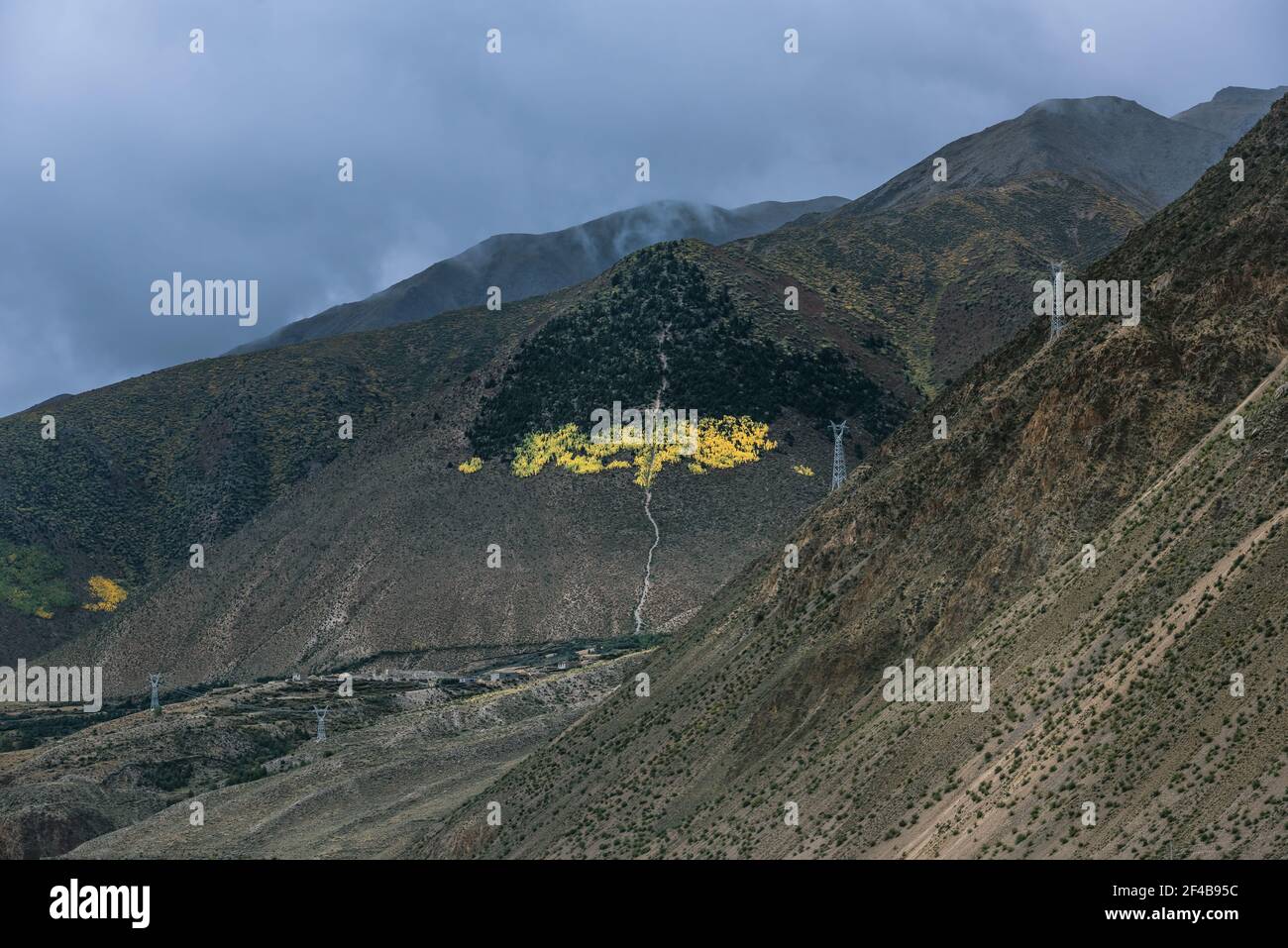 Looking from afar hi-res stock photography and images - Alamy