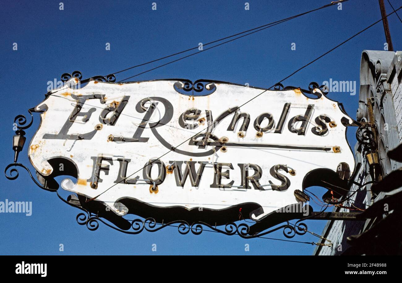 Ed reynolds flower shop hi-res stock photography and images - Alamy