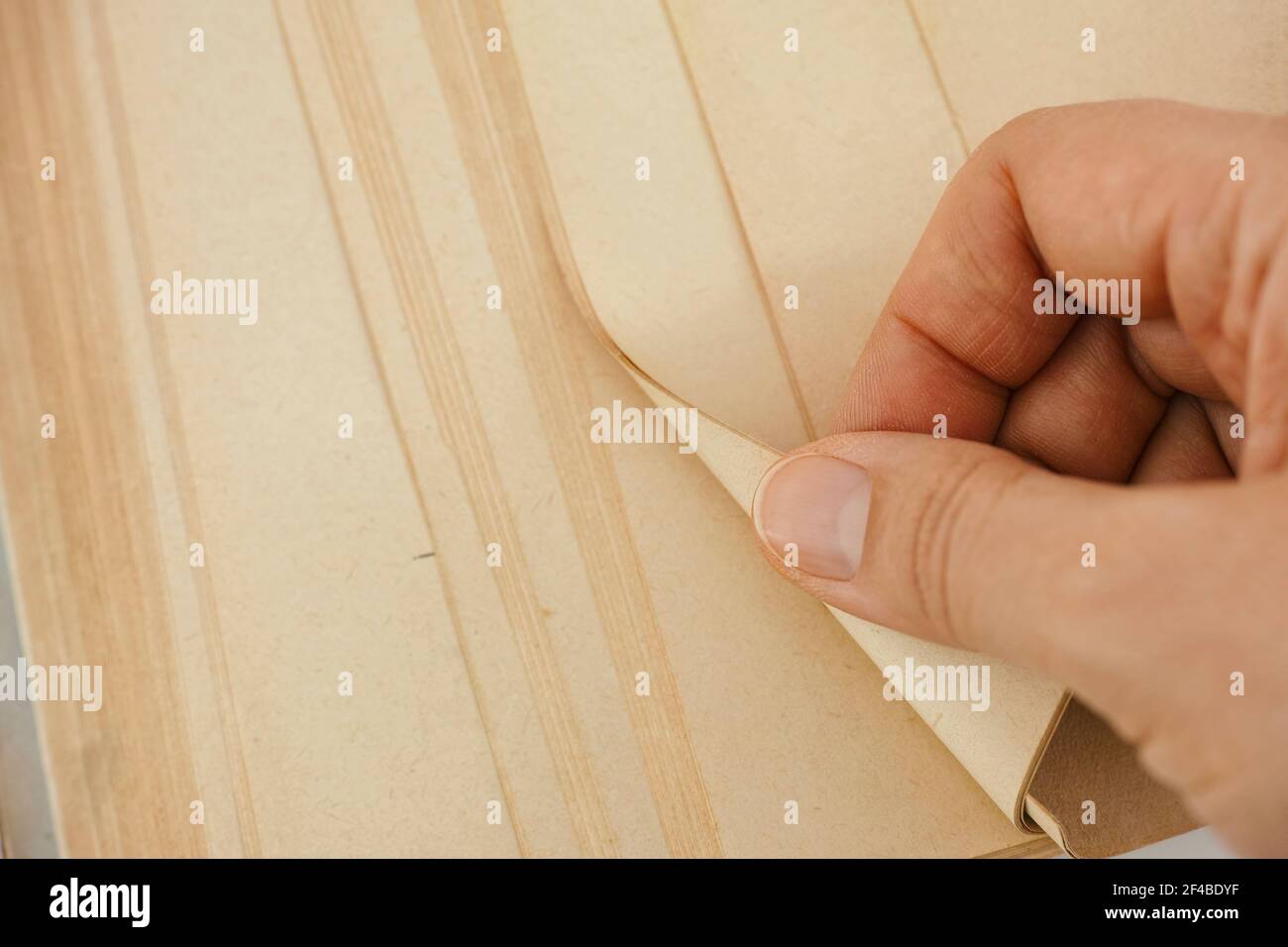Person hand flipping the pages of an old book Stock Photo - Alamy