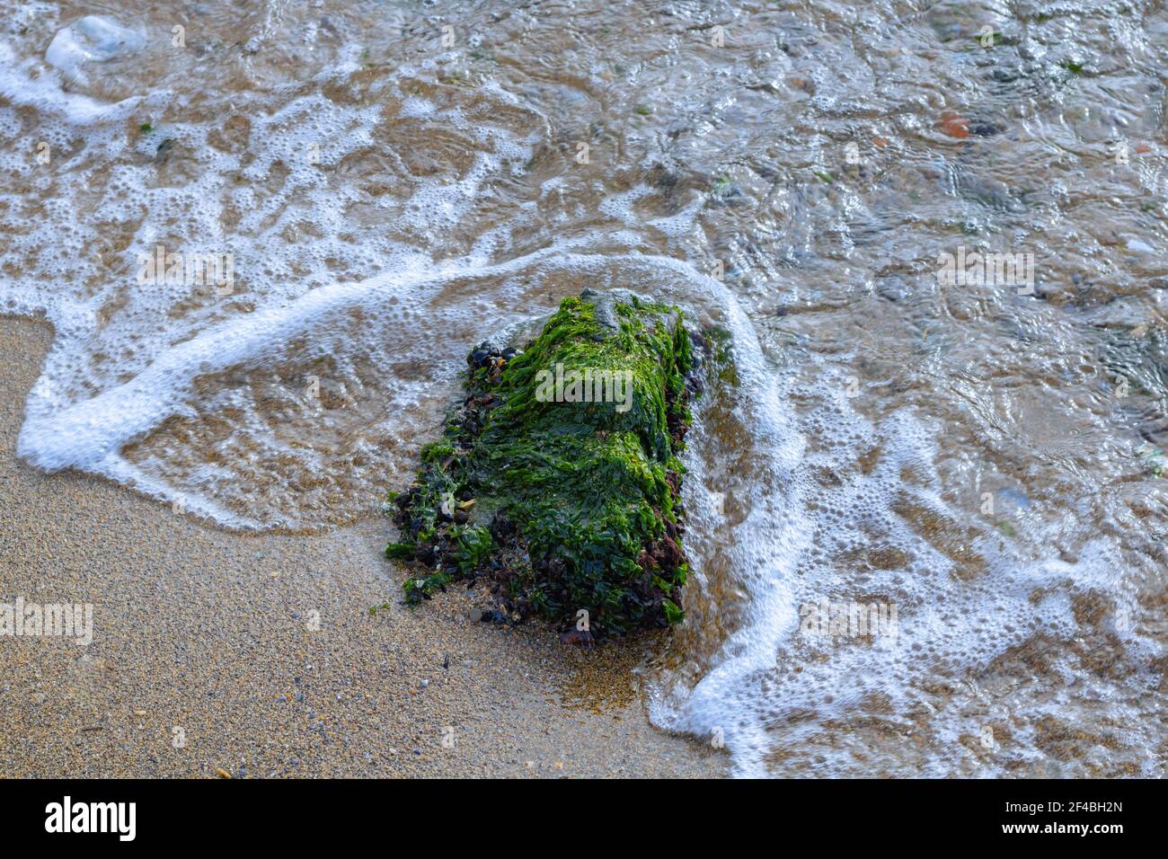 moss covered rock on the seashore and wavy sea. Waves hit the rocks on ...