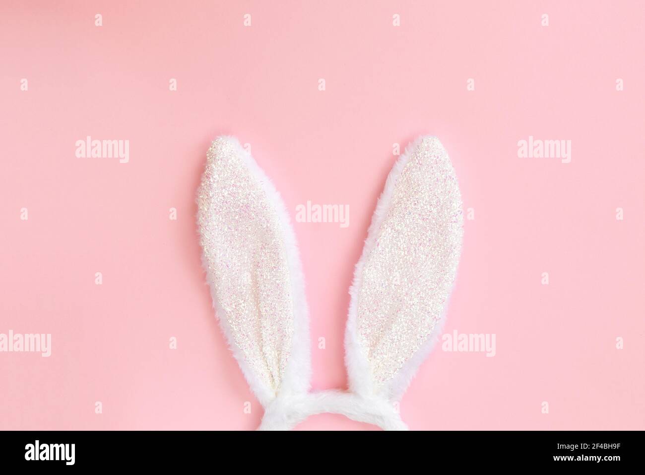 Funny Easter bunny ears isolated on pastel pink background. Happy ...
