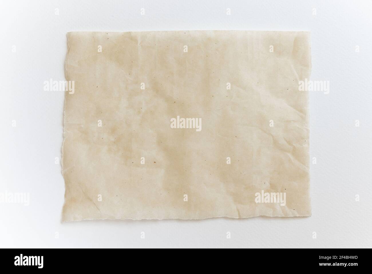 Baking paper sheet isolated on white background, top view. Parchment ...