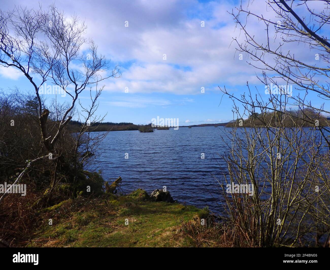 Shallow irregular hi-res stock photography and images - Alamy