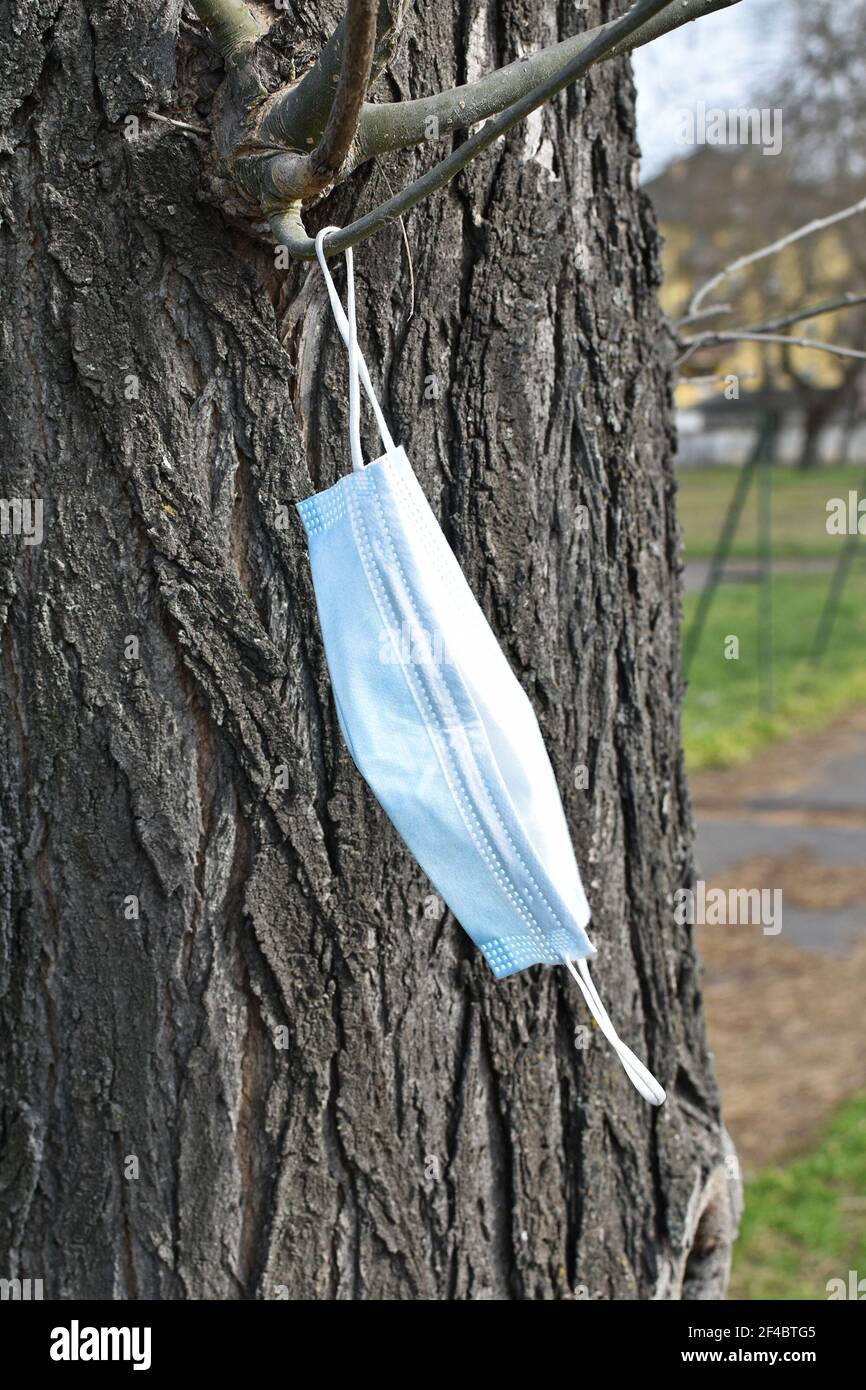 Surgical facemask on a tree Stock Photo - Alamy