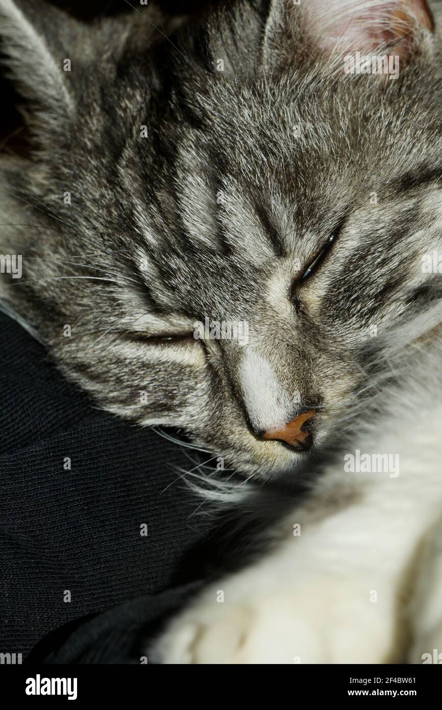 Bain de soleil bain de soleil hi-res stock photography and images - Alamy