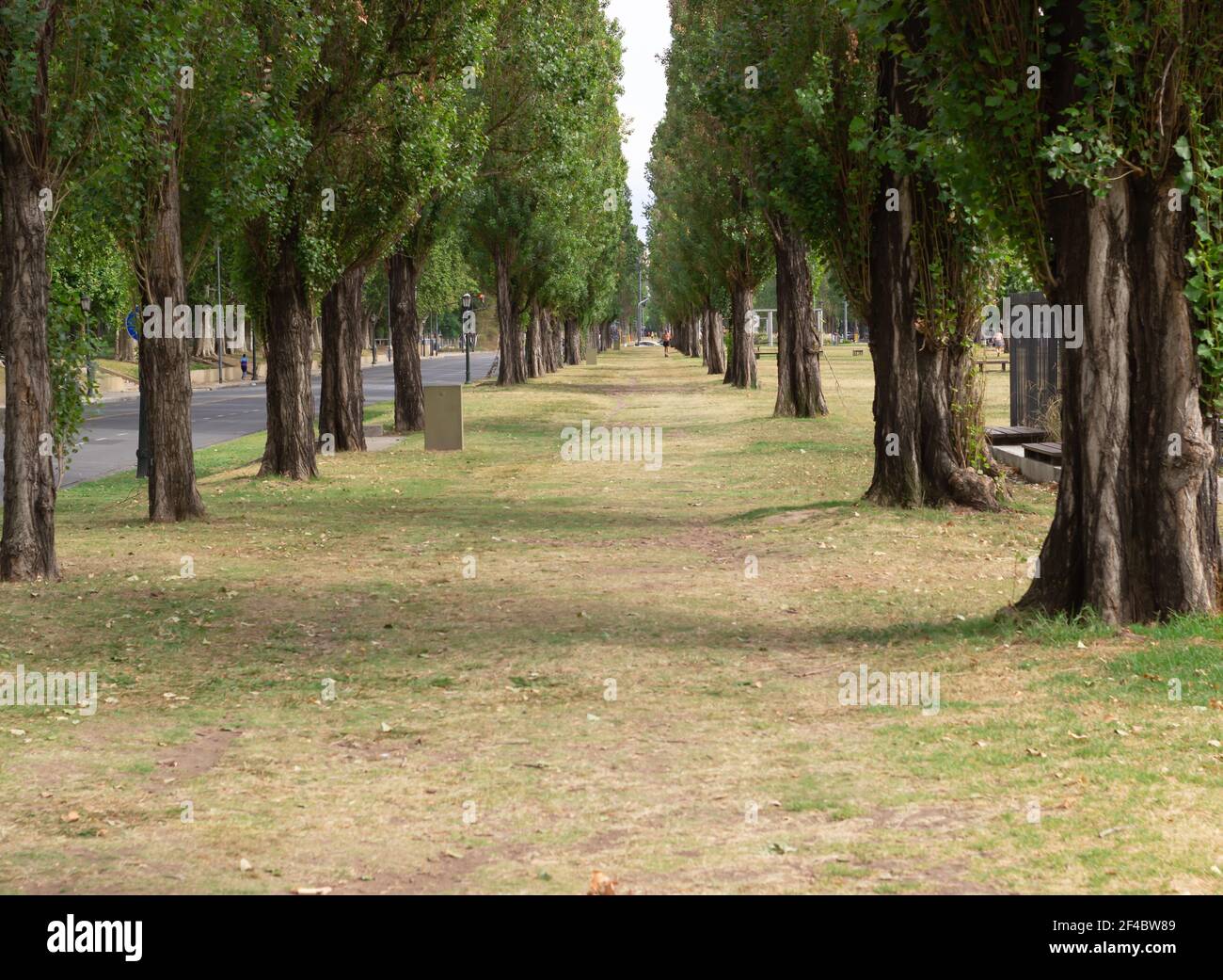 Park without trees hi-res stock photography and images - Alamy