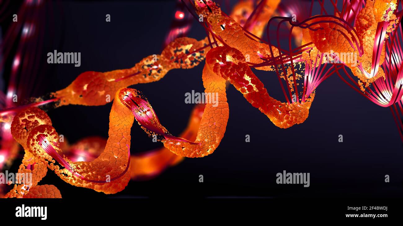 Amino acid chain hi-res stock photography and images - Alamy