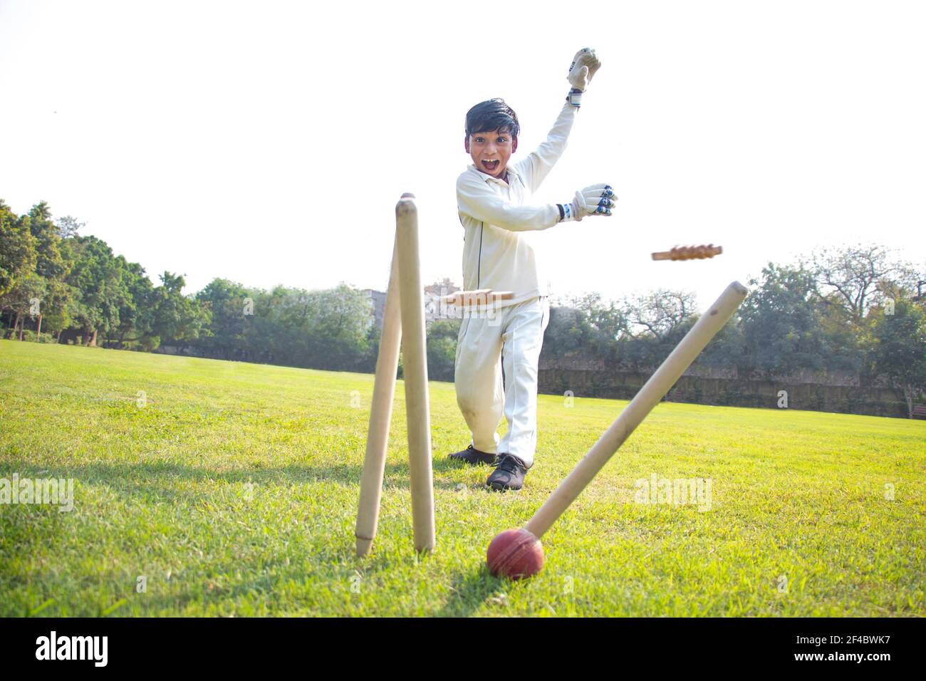 Wicket keeper view hi-res stock photography and images - Alamy