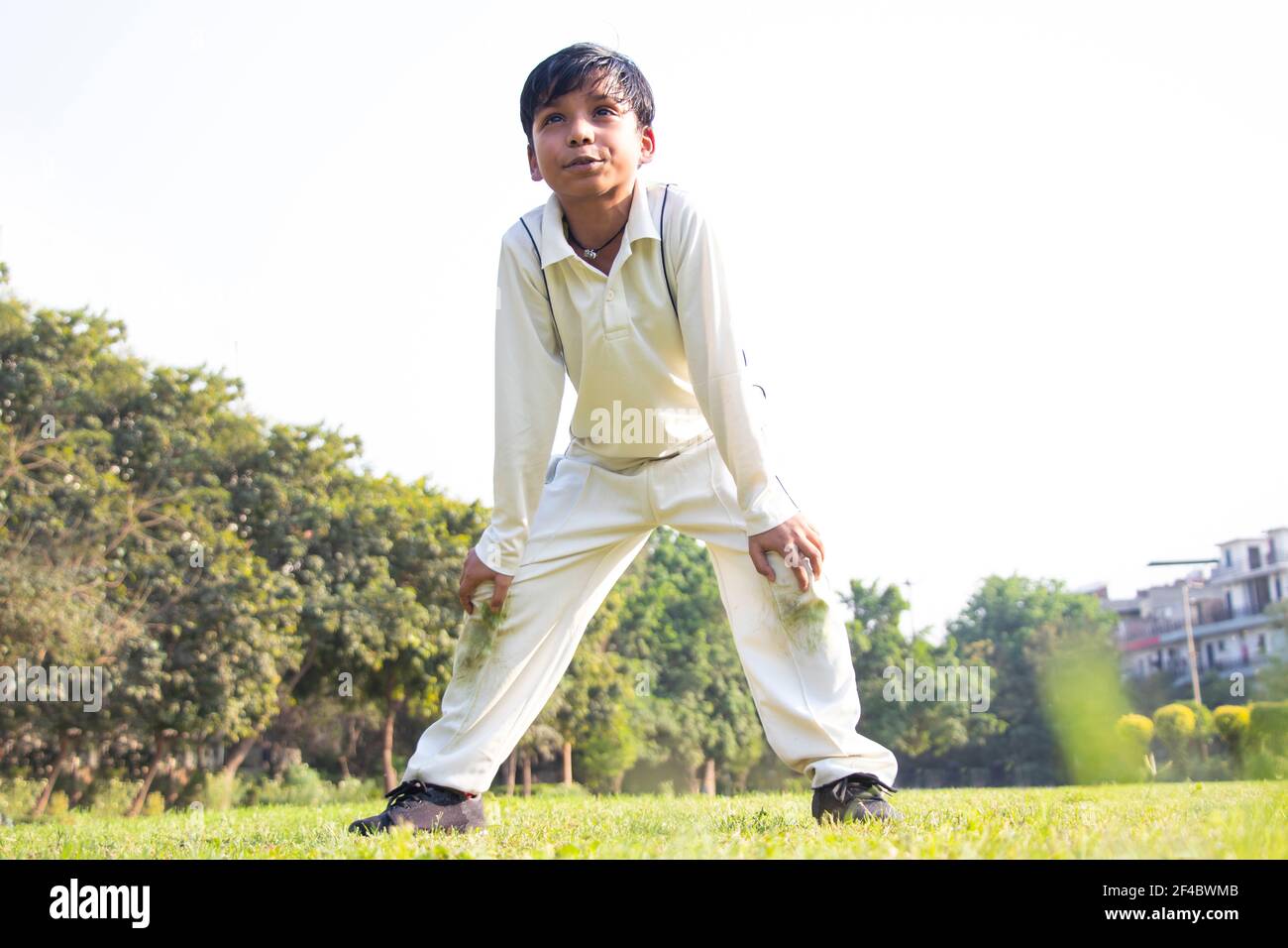 Cricket Player Fielding On The Ground High Resolution Stock Photography ...