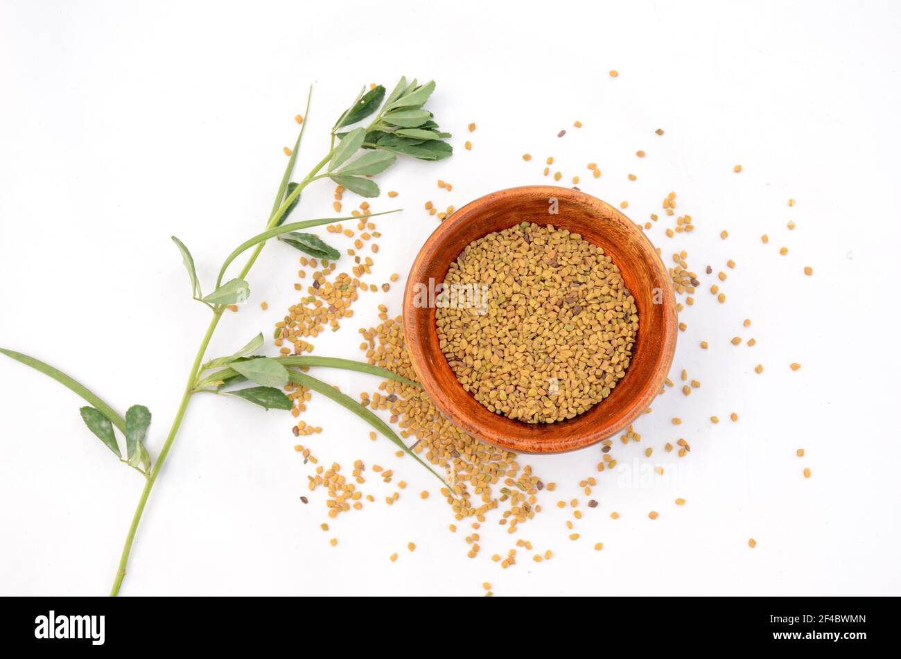A green greek plant with grains in a wooden bowl isolated on white ...