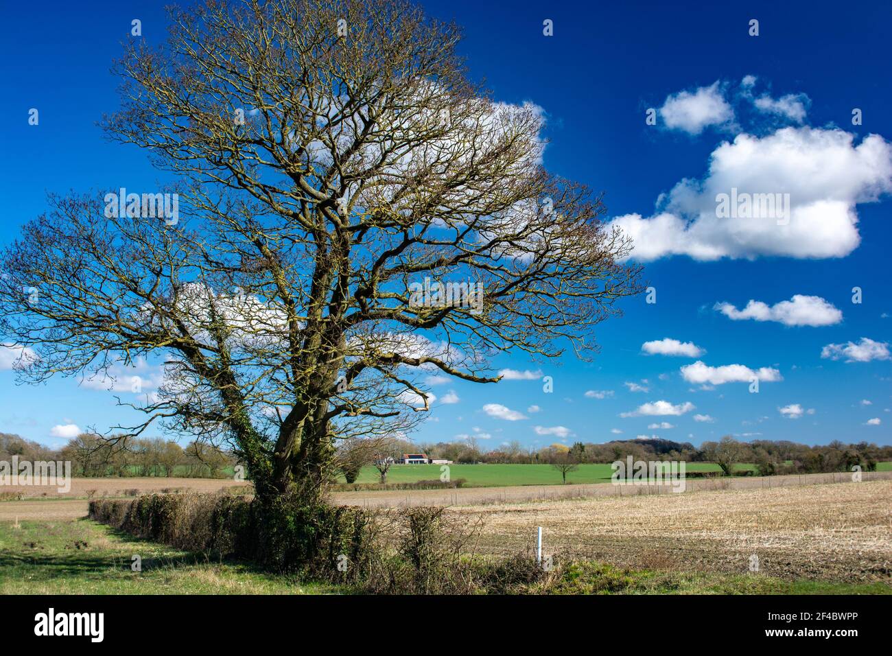 Farm field blue sky Stock Photo - Alamy