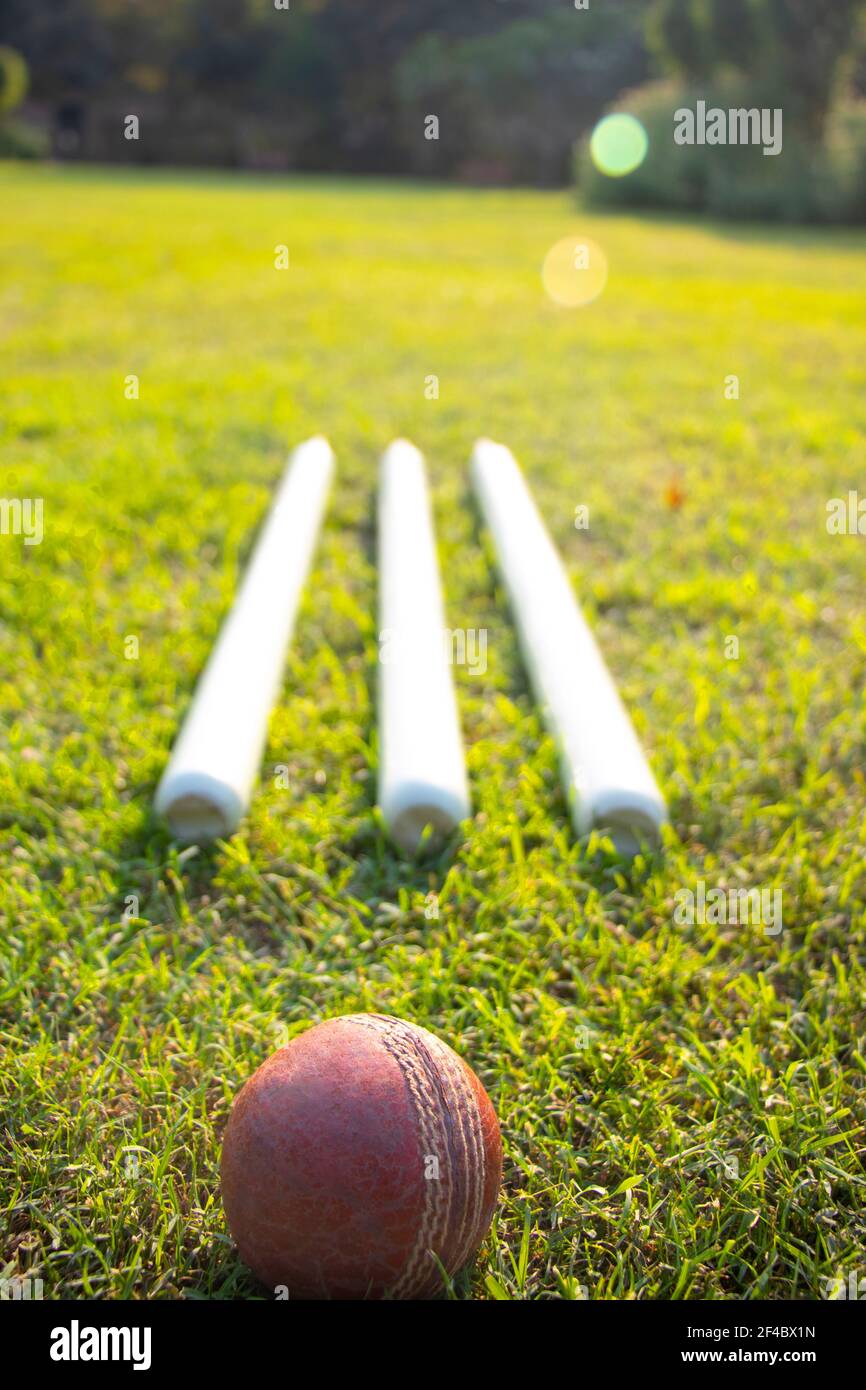 wicket and cricket ball on the ground Stock Photo - Alamy