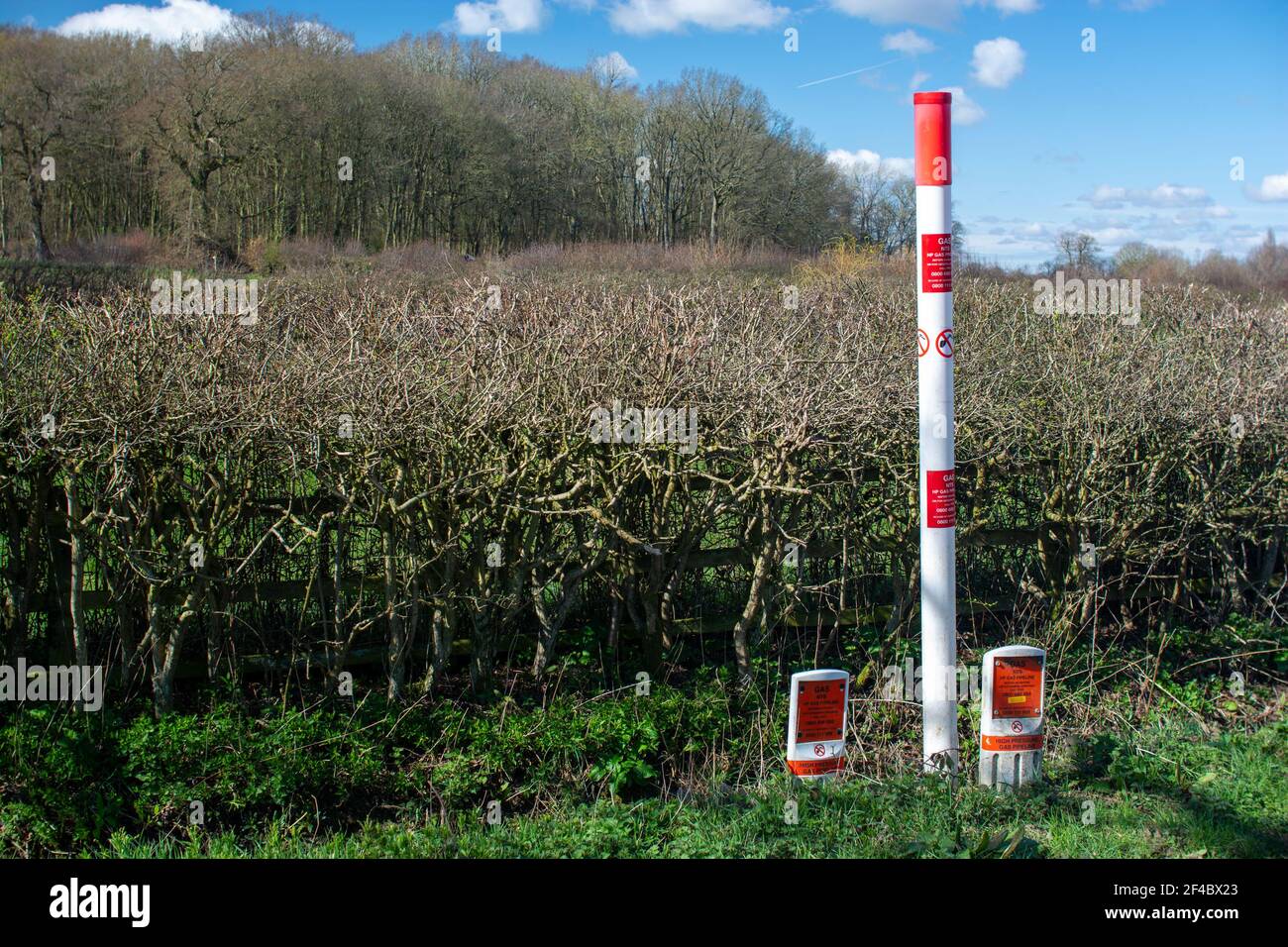 gas pipeline marker posts Stock Photo - Alamy