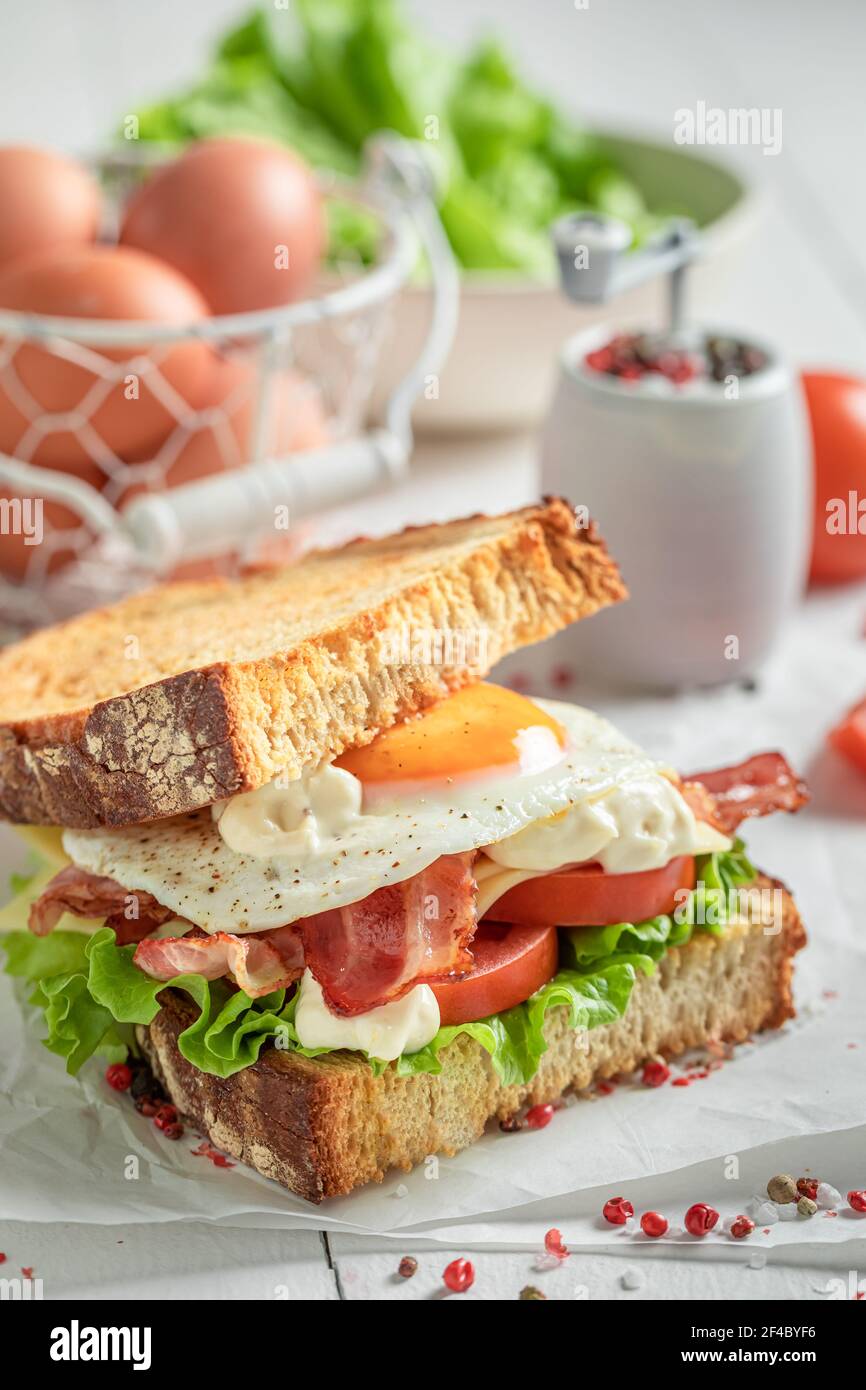 Crunchy sandwich with bacon, egg and mayonnaise. British breakfast ...