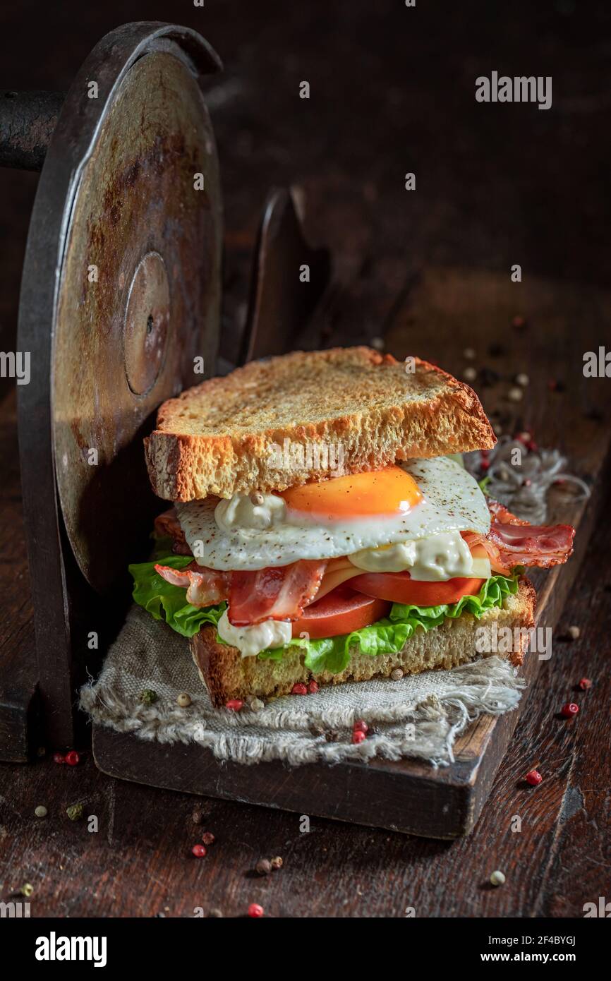 Crunchy toasted bread with egg, bacon and tomato. British breakfast ...
