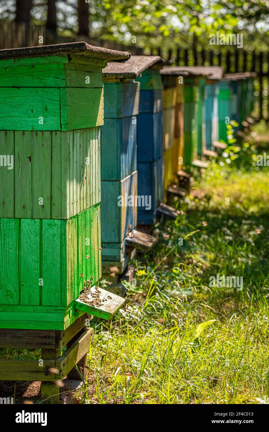 Handmade apiary in garden. Production of ecological honey. Apiculture ...