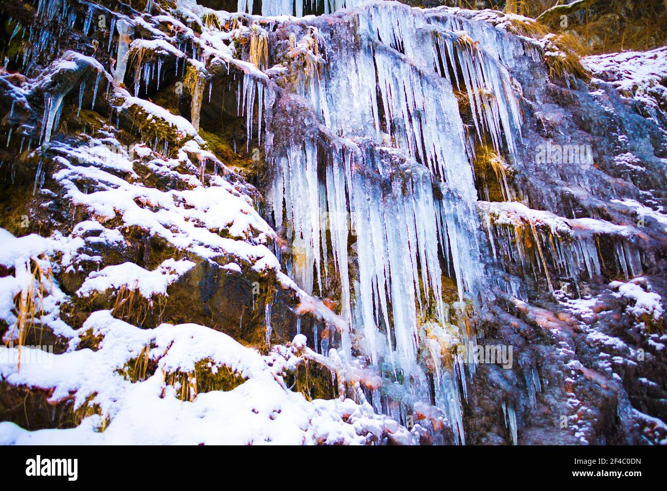 Winter frozen icicles Stock Photo - Alamy