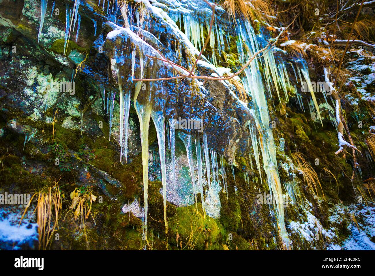 Winter frozen icicles Stock Photo - Alamy