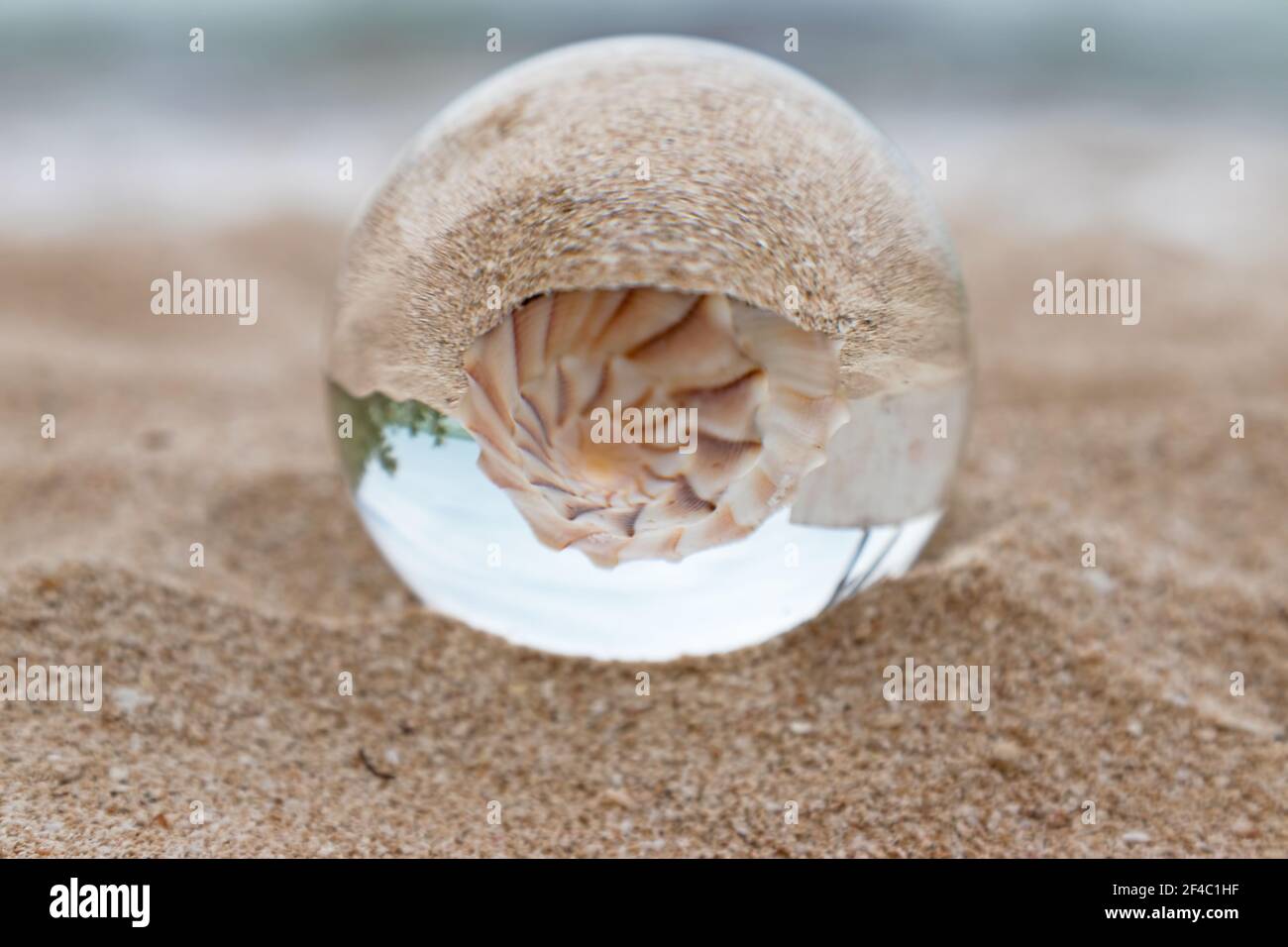 Crystal ball on shell hi-res stock photography and images - Alamy
