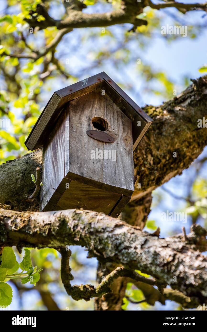 Tree branch shelter hi-res stock photography and images - Alamy