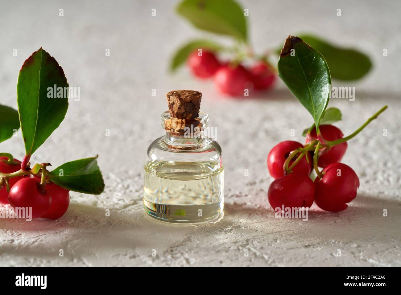 Wintergreen Essential Oil High Resolution Stock Photography and Images ...