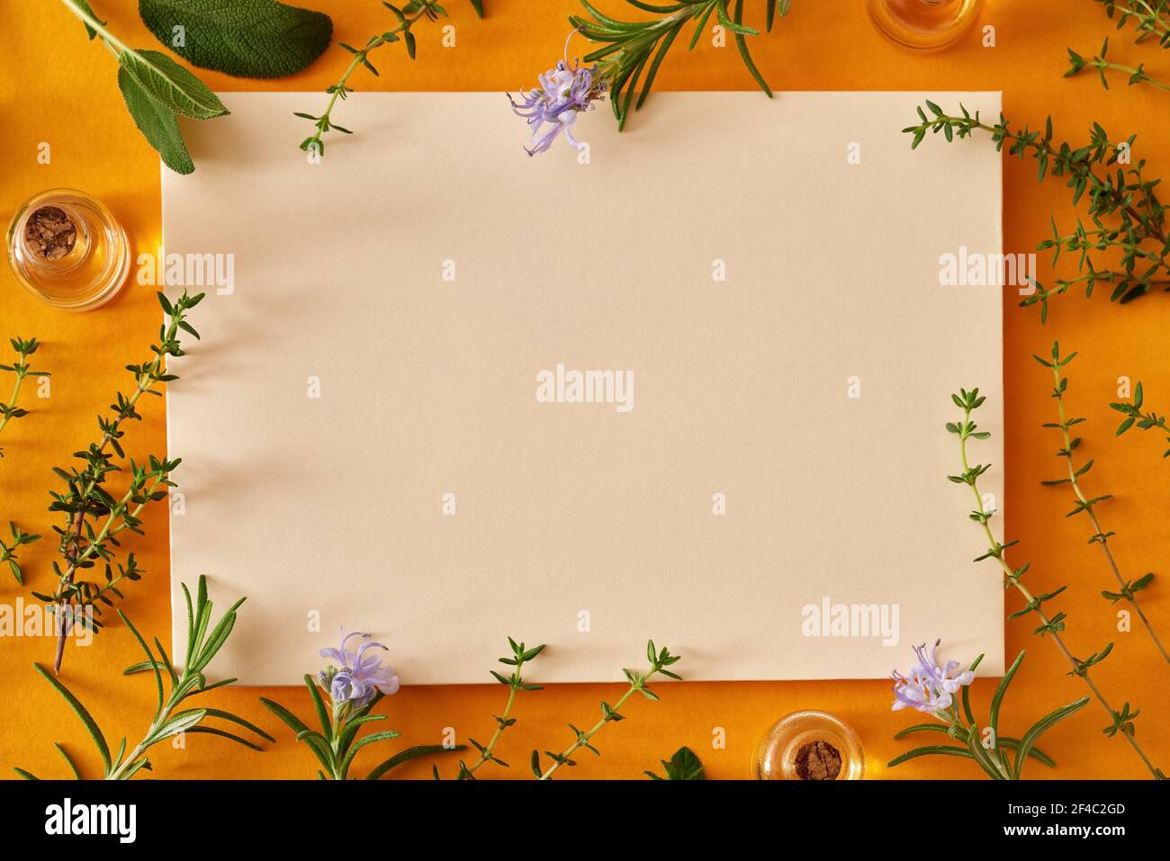 Essential oil bottles with thyme, blooming rosemary and sage on orange ...