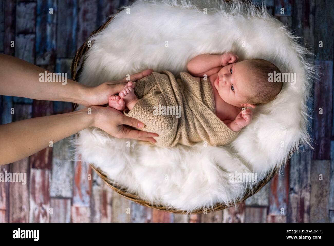 Boy touching legs hi-res stock photography and images - Alamy