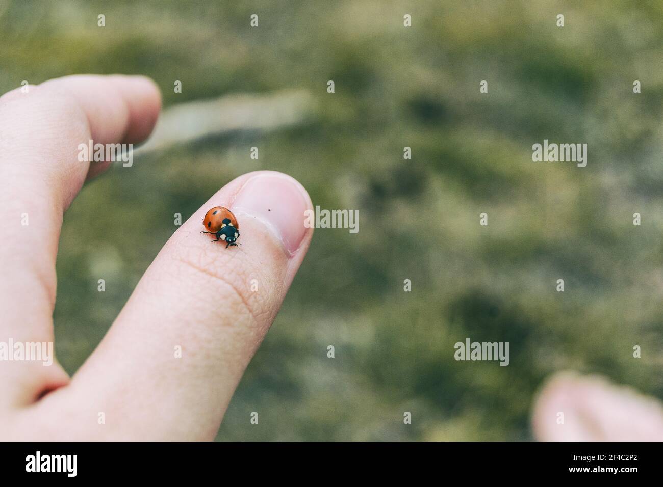 Sweaty skin hi-res stock photography and images - Alamy