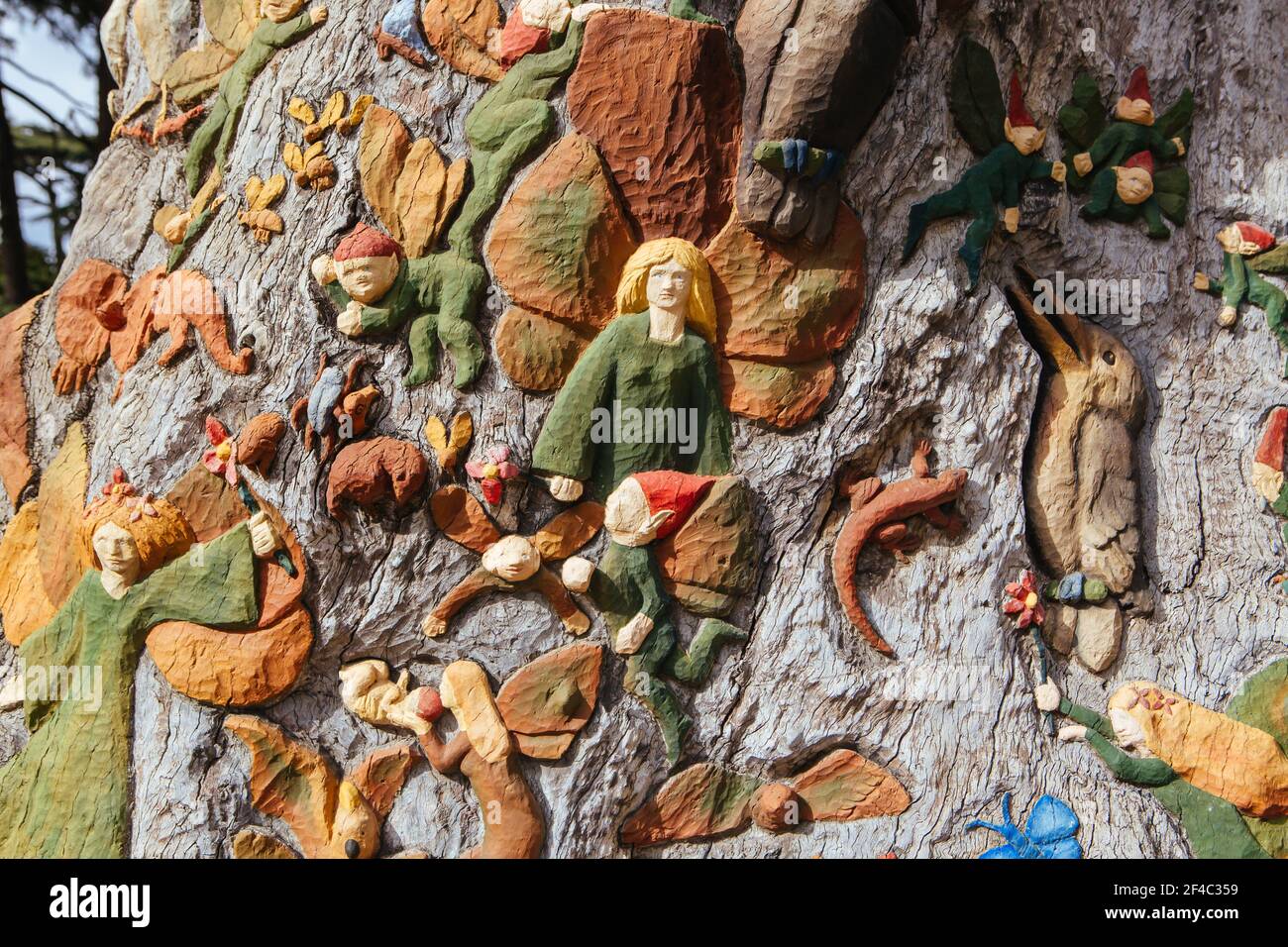 The Fairies Tree in Melbourne Australia Stock Photo - Alamy