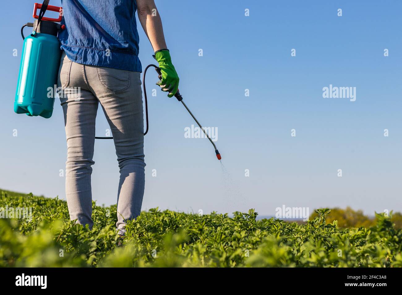 Agriculture farmer spraying fertilizer hi-res stock photography and ...