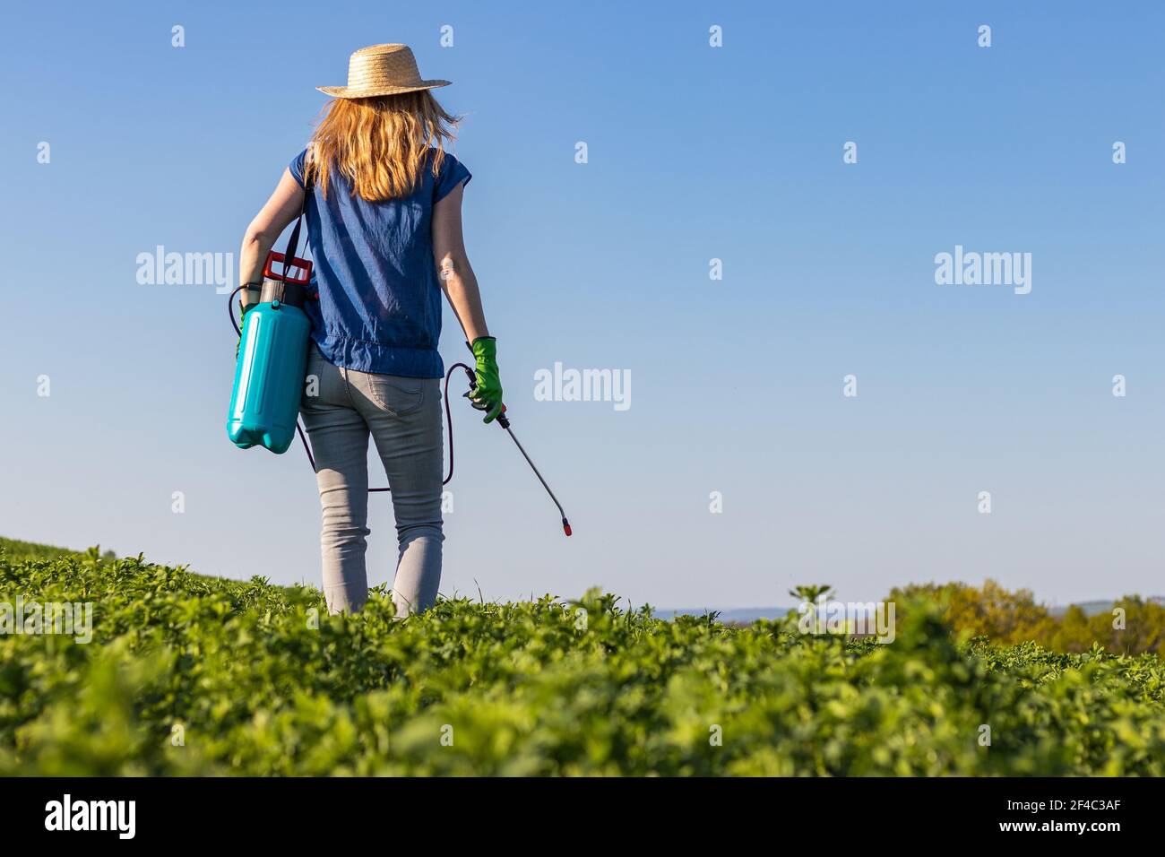 Farmer spraying herbicide hi-res stock photography and images - Alamy