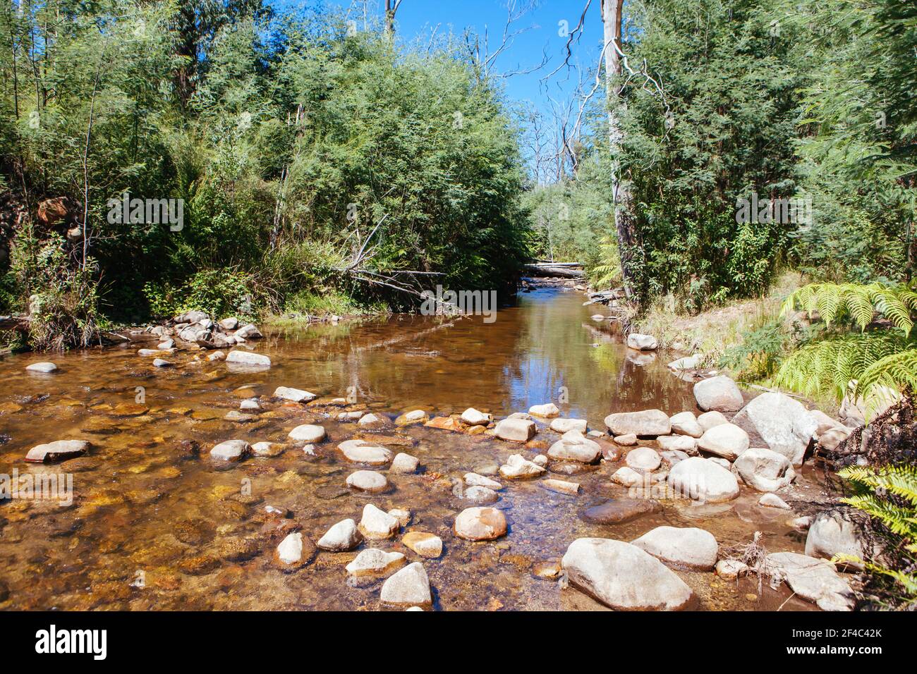 Taggerty river hi-res stock photography and images - Alamy