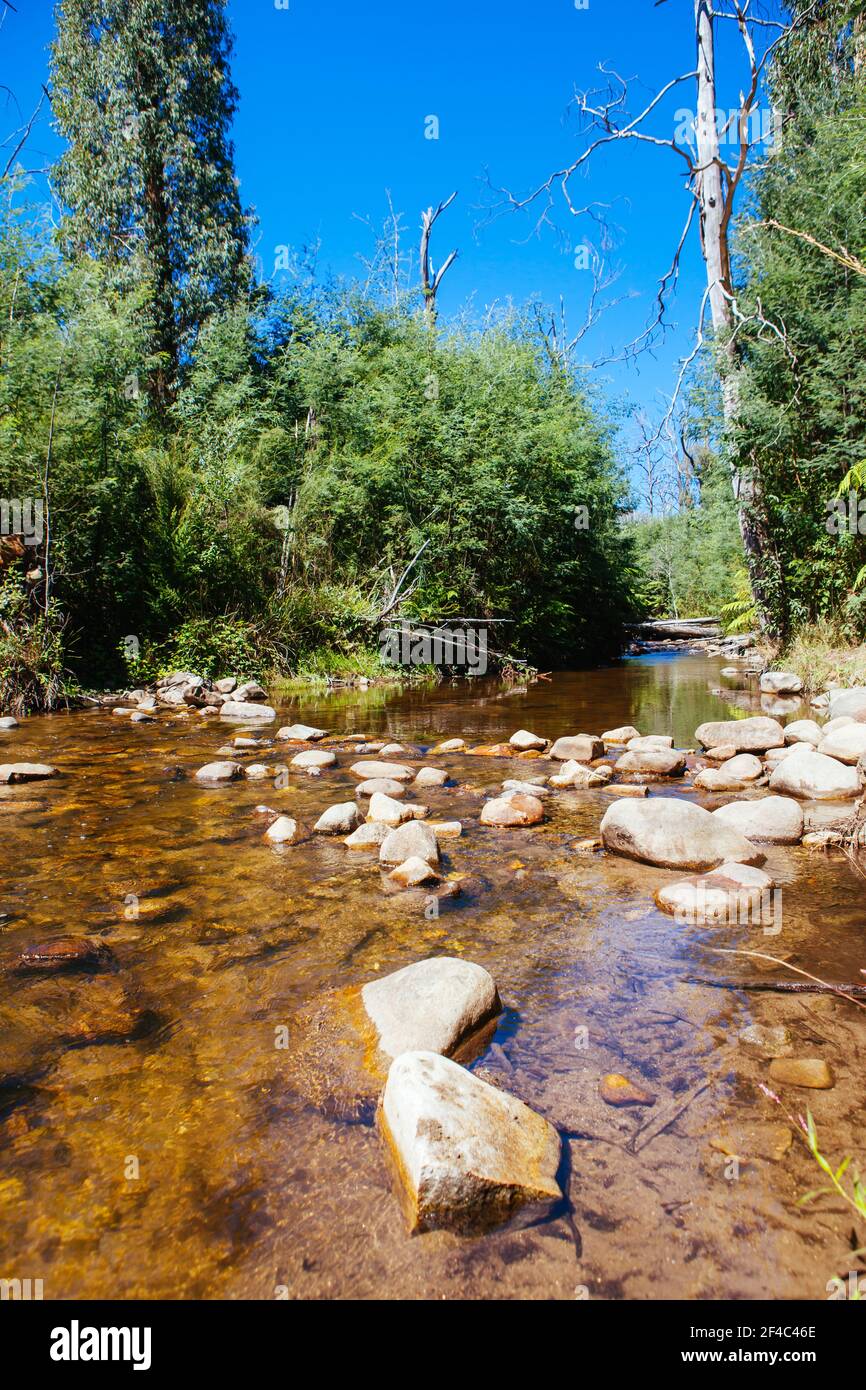 Taggerty river hi-res stock photography and images - Alamy