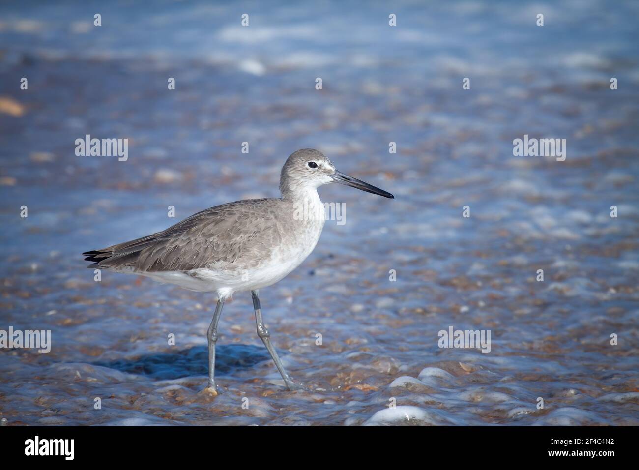 Shallow coastal waters hi-res stock photography and images - Alamy