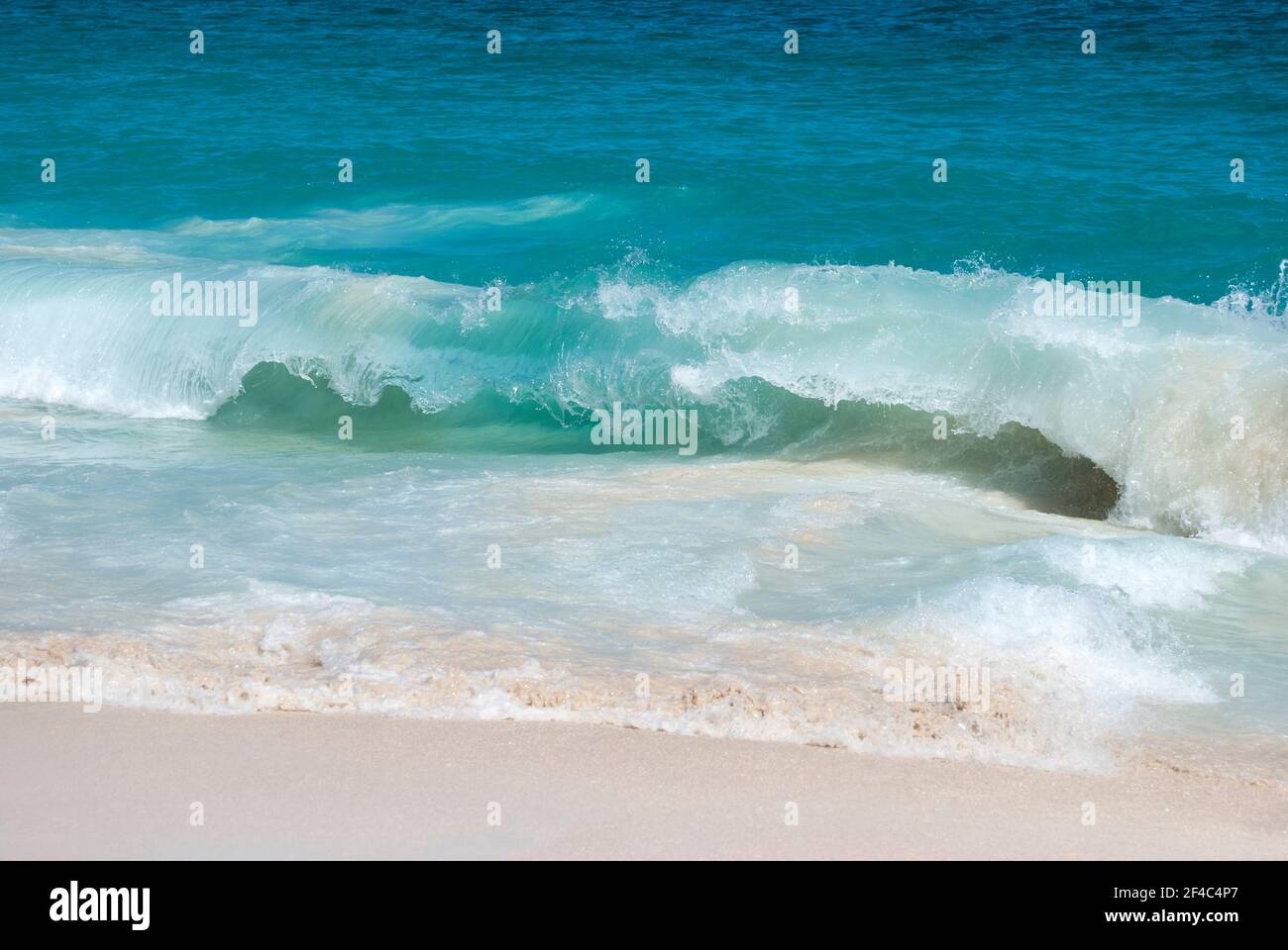 The turquoise color wave breaking down on Paradise Island beach ...