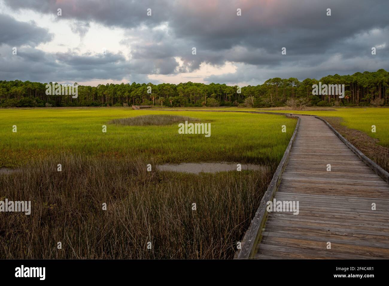 Florida salt marsh boardwalk hi-res stock photography and images - Alamy
