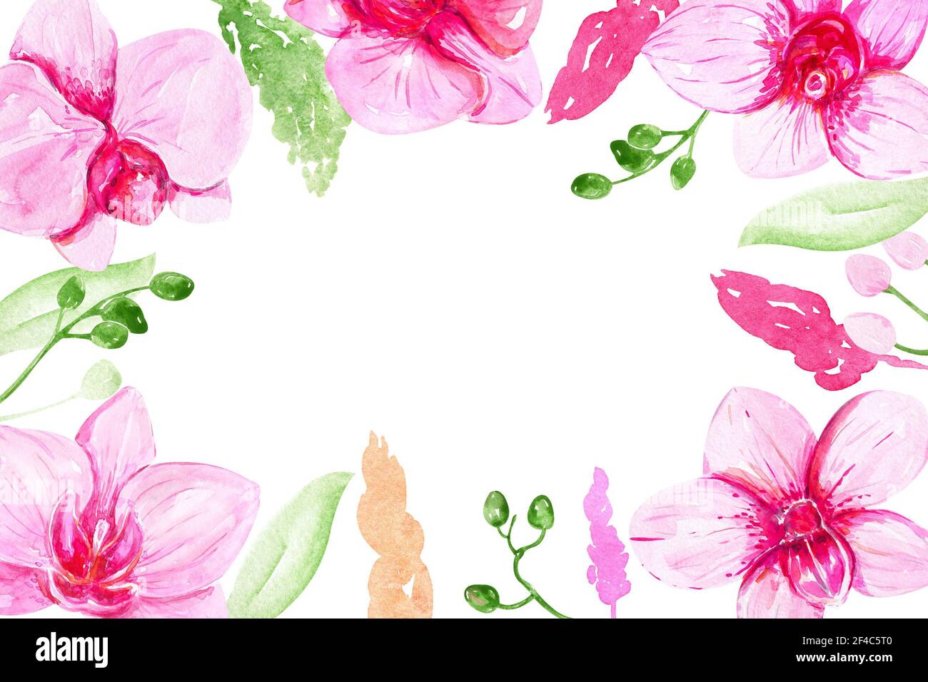 Pink Orchid Clipart