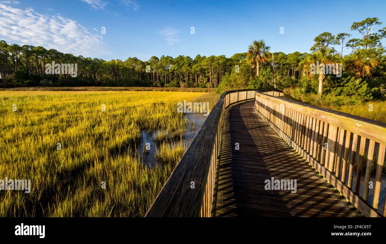 Spartina Grasses High Resolution Stock Photography and Images - Alamy
